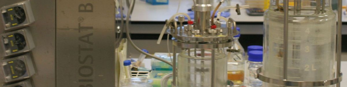 Fermentation and Bioreaction Engineering